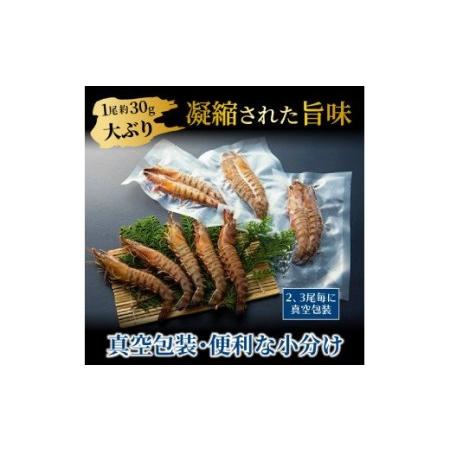 ふるさと納税 29017B_鮮度抜群！活き〆冷凍車海老（750g） 大分県国東市 : ふるなび(ふるさと納税) - 通販 - Yahoo!ショッピング