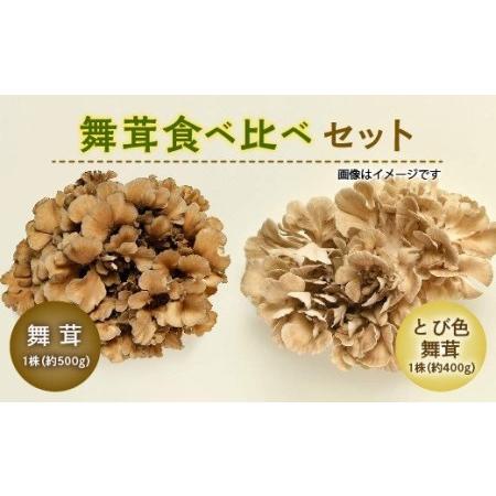 ふるさと納税 舞茸食べ比べセット F2Y-2374 山形県 : ふるなび(ふるさと納税) - 通販 - Yahoo!ショッピング