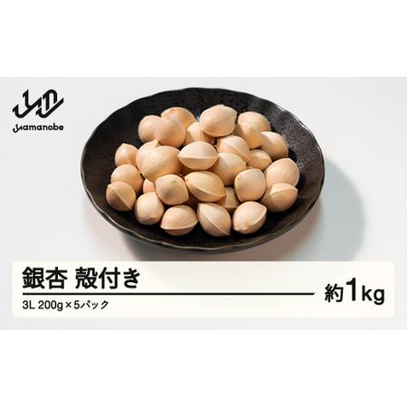 ふるさと納税 ≪先行予約≫2025年 山形県産 銀杏 殻付き 3L 約1kg（200g×5パック） 2025年10月中旬から順次発送 ぎんなん おつまみ 真空パ.. 山形県山辺町 : ふるなび ...