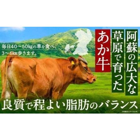 ふるさと納税 阿蘇プレミアムハンバーグ 150g ×20個 計3kg くまもとあか牛 ハンバーグ 熊本県高森町 :529278:ふるなび(ふるさと納税) - 通販 - Yahoo!ショッピング