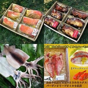 ふるさと納税 伊豆半島 海の幸 プラチナ 定期便 2回 E005／山田屋海産 産直 稲取 キンメ 静岡県 東伊豆町 静岡県東伊豆町 :613765:ふるなび(ふるさと納税) - 通販 ...