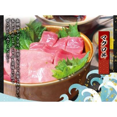 ふるさと納税 【通常発送】本マグロ（養殖）トロ＆赤身セット 240g まぐろ 刺身 鮪 本鮪 クロマグロ 赤身 中とろ【nks113】 和歌山県すさみ町 :624940:ふるなび(ふるさと納税 ...