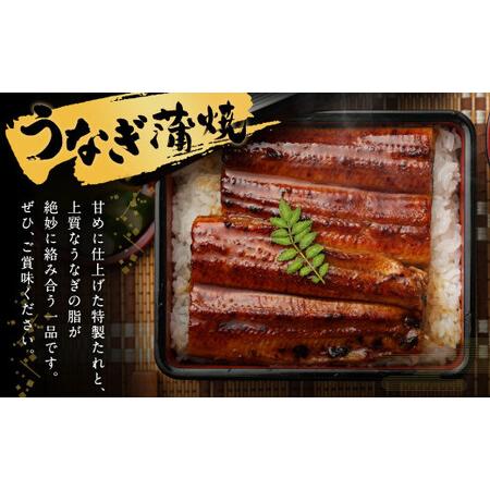 ふるさと納税 鰻天屋の九州産うなぎ 蒲焼 10尾 セット (1尾あたり160〜189g) 福岡県北九州市 : 682737 : ふるなび(ふるさと納税) - 通販 - Yahoo!ショッピング