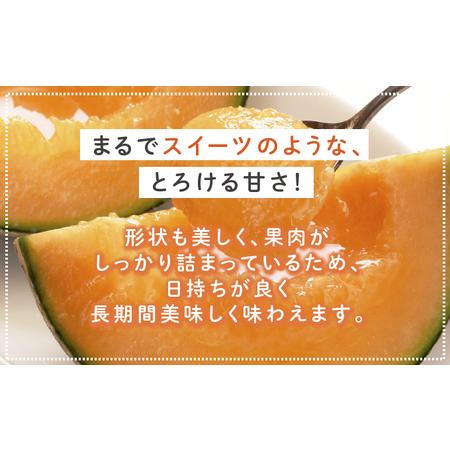 ふるさと納税 【2025年6月下旬〜発送】ふらの 赤肉 メロン 1玉入 約1.7kg〜2kg 北海道 富良野市 (相馬農園) フルーツ 果物 新鮮 甘い .. 北海道富良野市 : ふるなび ...