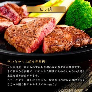 ふるさと納税 No.546 鹿児島県産黒毛和牛ヒレステーキ2種盛り(計440g・220g×2P)国産 九州産 牛肉 黒毛和牛 和牛 国産牛 ヒレ ステーキ 冷.. 鹿児島県日置市 : ふるなび ...