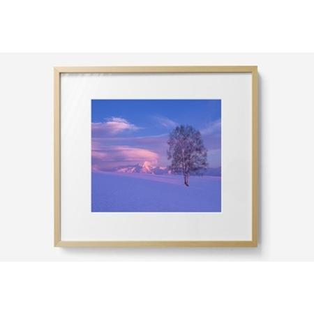 ふるさと納税 前田真三 額付き写真（白木額） 四切サイズ[120-11] 北海道美瑛町 : 712048 : ふるなび(ふるさと納税 ...