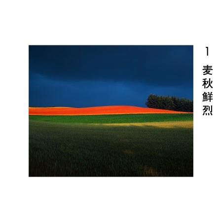 ふるさと納税 前田真三 額付き写真（白木額） 四切サイズ[144-02] 北海道美瑛町 :712048:ふるなび(ふるさと納税) - 通販 ...