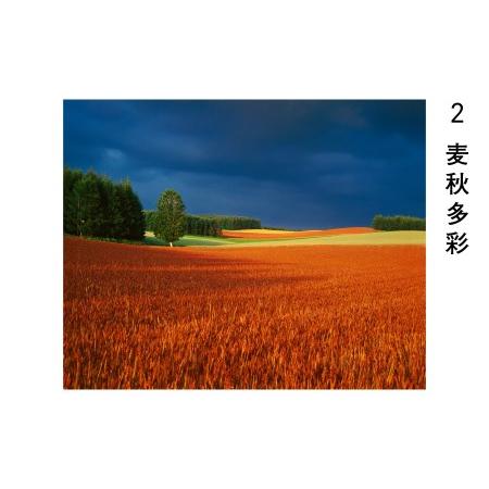 ふるさと納税 前田真三 額付き写真（白木額） 四切サイズ[144-02] 北海道美瑛町 :712048:ふるなび(ふるさと納税) - 通販 ...