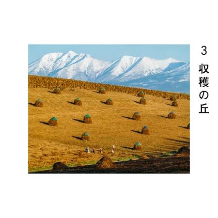 ふるさと納税 前田真三 額付き写真（白木額） 四切サイズ[144-02] 北海道美瑛町 :712048:ふるなび(ふるさと納税) - 通販 ...