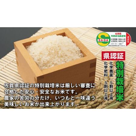ふるさと納税 【定期便】お米定期便 北川農産の米（3kg x 12回） Q081-001 佐賀県小城市 : 737667 : ふるなび(ふるさと納税) - 通販 - Yahoo!ショッピング