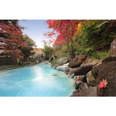 ふるさと納税 No.2487 高湯温泉安達屋 至福の宿泊プラン（1泊2食付2名様） 福島県福島市 :764852:ふるなび(ふるさと納税 ...