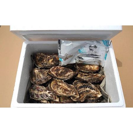 ふるさと納税 牡蠣 厚岸のブランド牡蠣 マルえもん 3Lサイズ 20個 生食用 北海道厚岸町 :766946:ふるなび(ふるさと納税 ...
