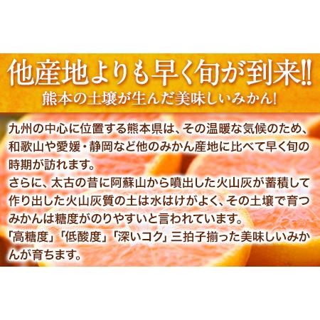 ふるさと納税 訳あり 大粒みかん 6kg 5L〜3Lサイズ 《2026年1月中旬-2月末頃出荷》 みかん 訳ありみかん 熊本県産みかん 大容量 熊本県荒尾市 : ふるなび(ふるさと納税 ...