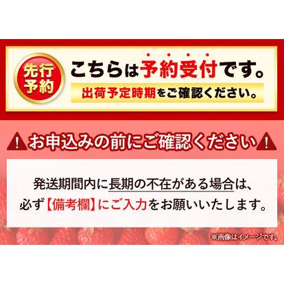 ふるさと納税 いちご あまおう1620g (約270g×6パック) 苺 送料無料 【着日指定不可】《2024年3月末-4月末頃出荷》 イチゴ 果物 フルーツ 福.. 福岡県小竹町 ...