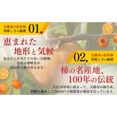 石川・能登産 ”ころ柿” 大玉3Lサイズ 16玉 約1kg 化粧箱 枯露柿【予約