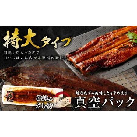 ふるさと納税 BSR-325 【数量限定！】鹿児島県産 特大サイズ うなぎ蒲焼 3尾 合計558g以上 国産 特大 うなぎ 蒲焼 鹿児島県薩摩川内市 : ふるなび(ふるさと納税) - 通販 ...