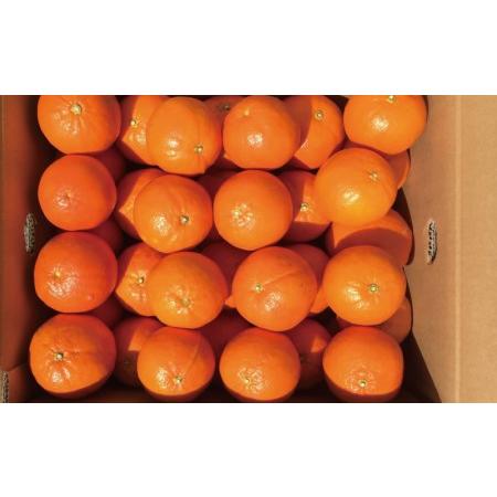 ふるさと納税 セミノール みかん 蜜柑 数量限定 ミカン / サイズL以上(L・2L・3L)岡農園のセミノール4kg【2024年3月下旬から4月下旬までに順次発.. 三重県紀宝町 ...