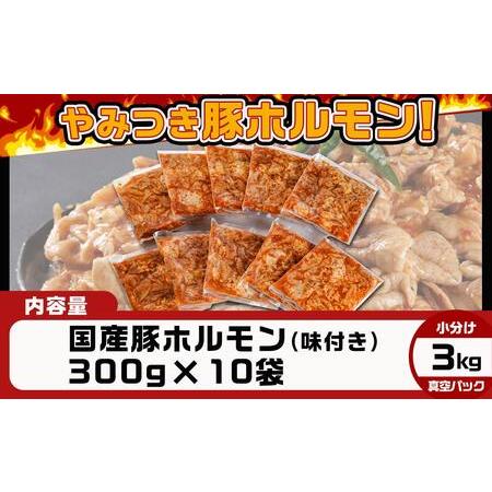ふるさと納税 やみつき豚ホルモン!3kg!真空小分けパック!_LG8-3303_(都城市) 国産豚 ホルモン 味付き 300g×10P 3kg 小分け 真空パック 豚肉 宮崎県都城市 : ふる ...