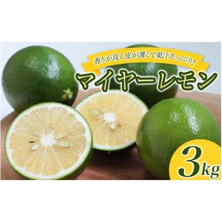 ふるさと納税 はぎファームのマイヤーレモン 3kg 【2024年10月~2025年3月下旬の期間で順次発送】 / レモン 国産 マイヤーレモン ...