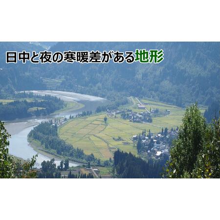 ふるさと納税 JA78P425 令和6年産魚沼産コシヒカリ定期便2kg2袋×6回（毎月お届け）（JA魚沼）白米 魚沼 米 定期便 新潟県小千谷市 : ふるなび(ふるさと納税) - 通販 ...