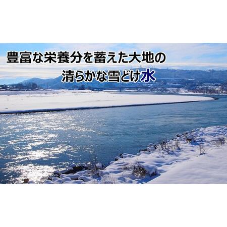 ふるさと納税 JA78P425 令和6年産魚沼産コシヒカリ定期便2kg2袋×6回（毎月お届け）（JA魚沼）白米 魚沼 米 定期便 新潟県小千谷市 : ふるなび(ふるさと納税) - 通販 ...