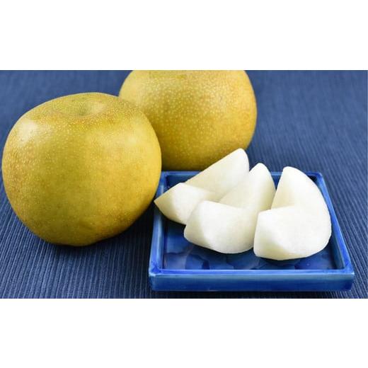 ふるさと納税 千葉県 市川市 市川のブランド梨「幸水」大玉 【12203-0038】 :181830:ふるさとチョイス - 通販 - Yahoo!ショッピング