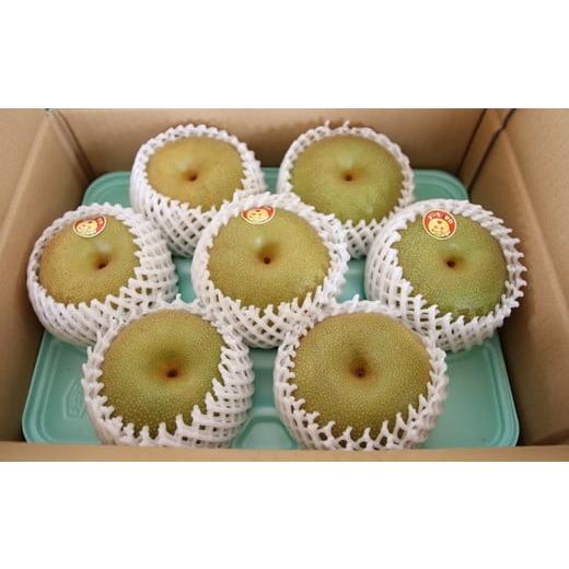 ふるさと納税 梨 千葉県 市川市 市川のブランド梨「幸水」大玉 12203-0038 : ふるさとチョイス - 通販 - Yahoo!ショッピング