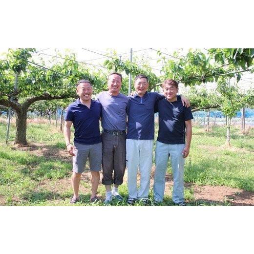 ふるさと納税 千葉県 市川市 市川のブランド梨「幸水」大玉 【12203-0038】 :181830:ふるさとチョイス - 通販 - Yahoo!ショッピング