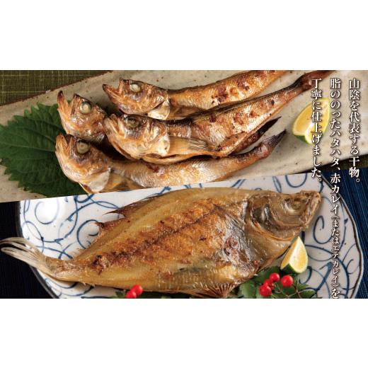 ふるさと納税 鳥取県 鳥取市 0827 山陰のおすすめ干物セット(中村商店) :330782:ふるさとチョイス - 通販 - Yahoo!ショッピング