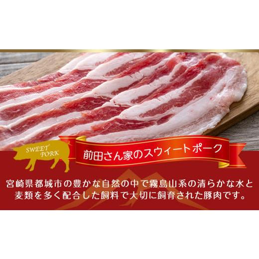 ふるさと納税 豚肉 しゃぶしゃぶ 宮崎県 都城市 「前田さん家のスウィートポーク」しゃぶしゃぶ3kgセット_MJ-8910_(都城市) 宮崎県産豚肉 豚ロース しゃぶしゃ… : ふるさと ...