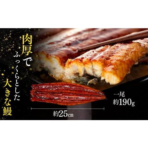 ふるさと納税 うなぎ 千葉県 長生村 C01-E09 特大うなぎ長蒲焼 760g : ふるさとチョイス - 通販 - Yahoo!ショッピング