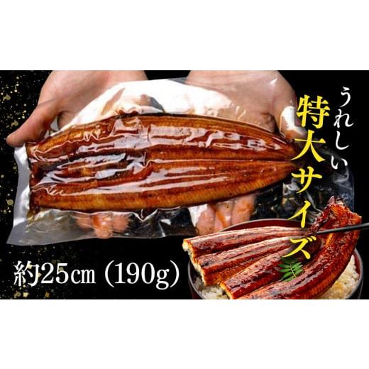 ふるさと納税 うなぎ 千葉県 長生村 C01-E09 特大うなぎ長蒲焼 760g : ふるさとチョイス - 通販 - Yahoo!ショッピング