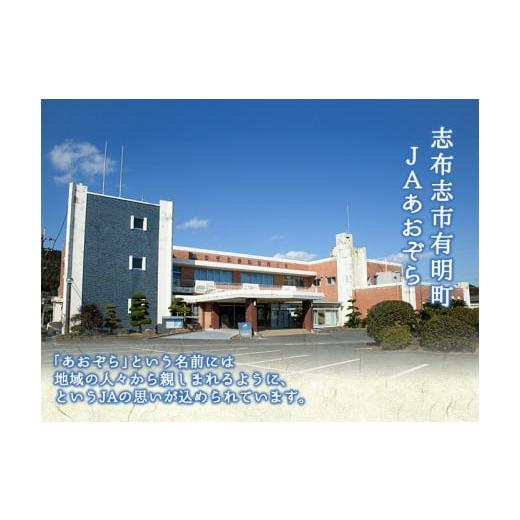 ふるさと納税 和菓子 鹿児島県 志布志市 熟し芋 計800g(80g×10袋)日本農業新聞一村逸品大賞を受賞した干し芋 干し芋 ほしいも 干しいも お菓子 おやつ さつ… : 4502996 ...