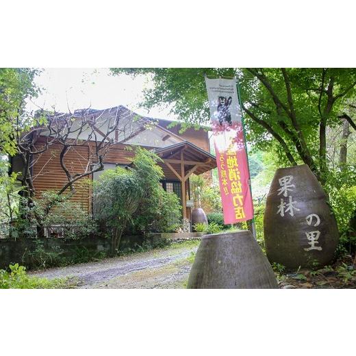 ふるさと納税 熊本県 南関町 Y13-5 火の国ジャンボキウイ :4517854:ふるさとチョイス - 通販 - Yahoo!ショッピング