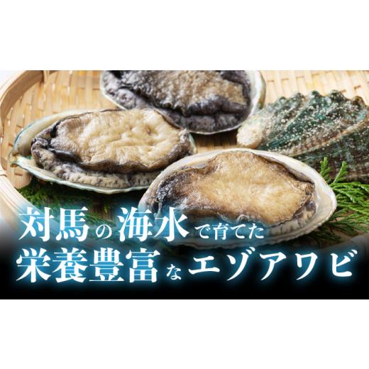 ふるさと納税 長崎県 対馬市 対馬産 養殖 エゾアワビ 310g (3〜9枚)(7.0〜9.5cm)《対馬市》【対馬海洋牧場】 あわび 鮑 [WAR001] :4546842:ふるさとチョイス ...