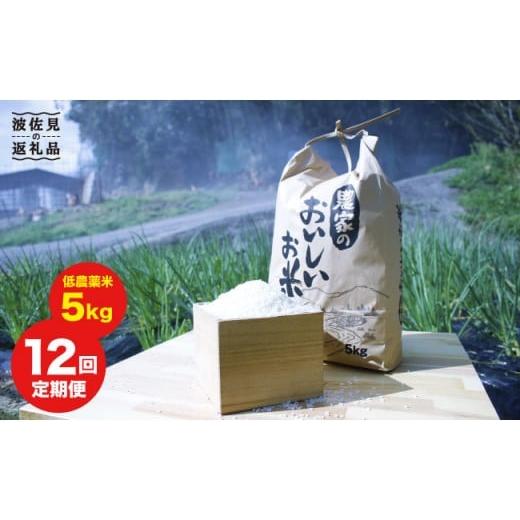 ふるさと納税 【全12回定期便】【低農薬】農家のおいしいお米 5kg 【浅田峠自然塾】 [EA07] : 4582053 : ふるさとチョイス - 通販 - Yahoo!ショッピング