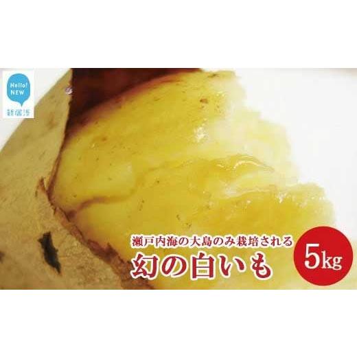ふるさと納税 野菜類 サツマイモ 愛媛県 新居浜市 先行予約 数量限定 新居浜大島産 幻のさつまいも 『白いも』 5kg 七福芋 白芋 希少 ...