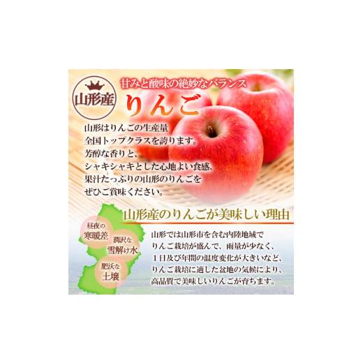 ふるさと納税 りんご 山形県 山形市 山形のサンふじりんご 約10kg 秀品(20〜50玉) FZ19-140 : ふるさとチョイス - 通販 - Yahoo!ショッピング