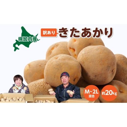 ふるさと納税 野菜類 じゃがいも 北海道 幌加内町 No.5795-0182 北海道産 訳あり きたあかり M〜2L 約20kg ジャガイモ 馬鈴薯 ポテト キタアカリ … : ふるさと ...