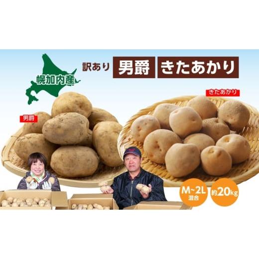 ふるさと納税 野菜類 じゃがいも 北海道 幌加内町 No.5795-0183 北海道産 訳あり 男爵 きたあかり M〜2L 各約10kg 計約20kg ジャガイモ 馬鈴薯 ポ… : ふるさと ...