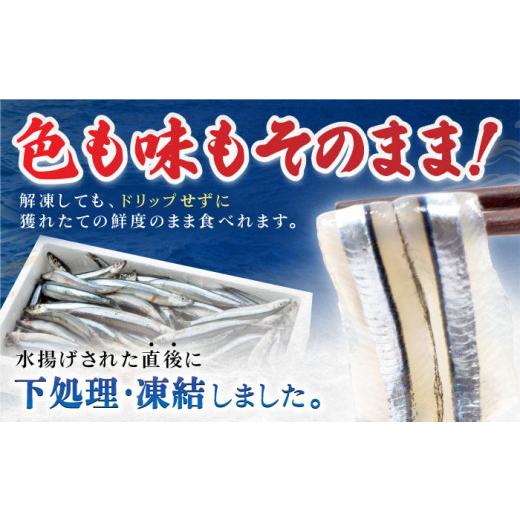 ふるさと納税 長崎県 五島市 五島産 きびなご 刺身用 20尾×9P 五島市／鯛福丸水産 [PDP001] :4655679:ふるさとチョイス ...