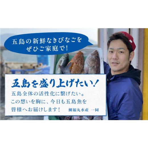 ふるさと納税 長崎県 五島市 五島産 きびなご 刺身用 20尾×9P 五島市／鯛福丸水産 [PDP001] :4655679:ふるさとチョイス ...