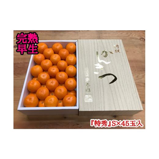 ふるさと納税 年内発送 完熟早生 有田みかん 化粧箱 特秀 S サイズ 45玉入 和歌山 南泰園 : 4665852 : ふるさとチョイス ...