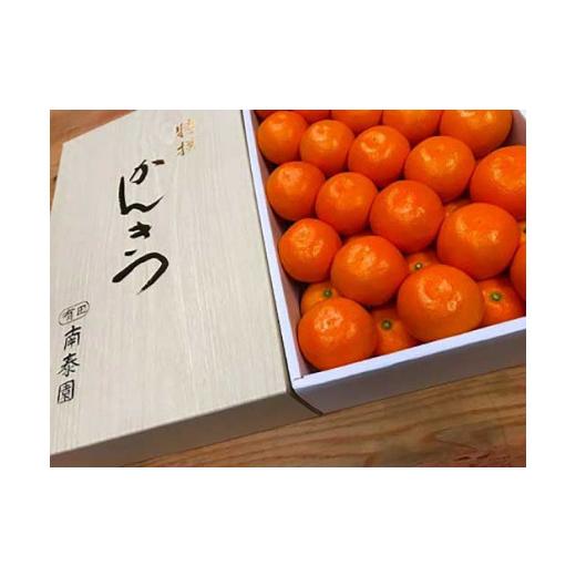 ふるさと納税 年内発送 完熟早生 有田みかん 化粧箱 特秀 S サイズ 45玉入 和歌山 南泰園 : 4665852 : ふるさとチョイス ...