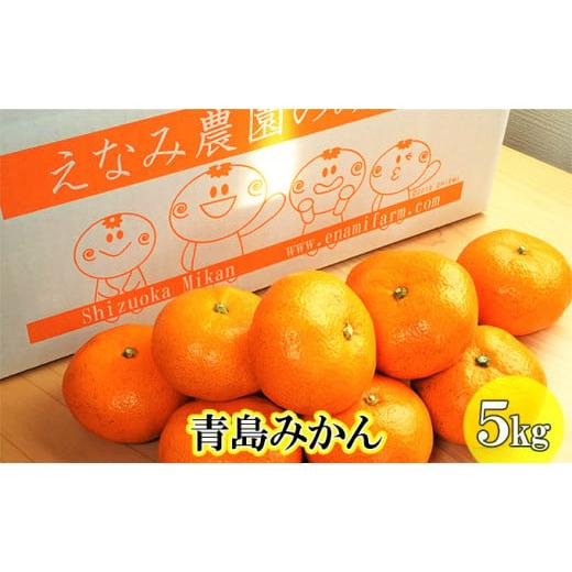 ふるさと納税 果物類 みかん 静岡県 浜松市 2024年12月下旬以降順次発送 えなみ農園の青島みかん 5kg（L〜2Lサイズ） No.5786-2814 : 4696324 : ふるさと ...
