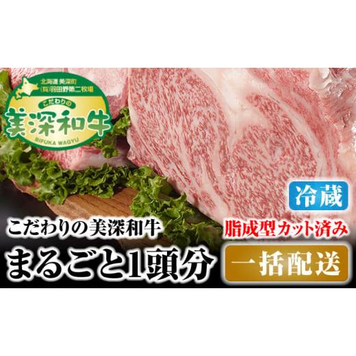 ふるさと納税 牛肉 セット 北海道 美深町 こだわりの美深和牛1頭分 成型脂カットあり（冷蔵） No.5894-0252 : ふるさとチョイス - 通販 - Yahoo!ショッピング
