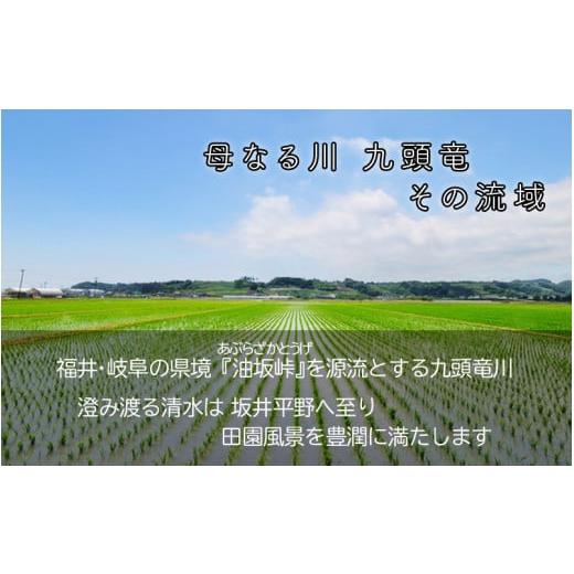 ふるさと納税 米 コシヒカリ 福井県 坂井市 令和7年産・新米 12ヶ月連続お届け ワンランク上の特別栽培米 コシヒカリ匠 4kg ×12回 計48kg（玄米） 栽培期間… : ふるさと ...