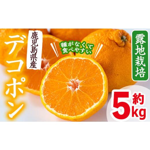 ふるさと納税 みかん・柑橘類 デコポン 鹿児島県 出水市 i084 先行予約受付中 2025年3月上旬から順次発送 鹿児島県産 デコポン(約5kg・L~4Lサイズ 15~24玉) 国 ...