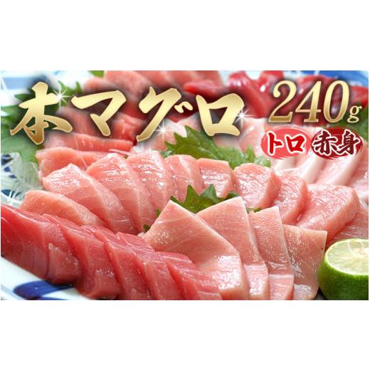 ふるさと納税 マグロ 和歌山県 北山村 本マグロ（養殖）トロ＆赤身セット 240g 1ヶ月以内に発送 配達日指定不可 まぐろ 鮪 中トロ 赤身 柵 nks113 通常… : ふるさとチョイス ...