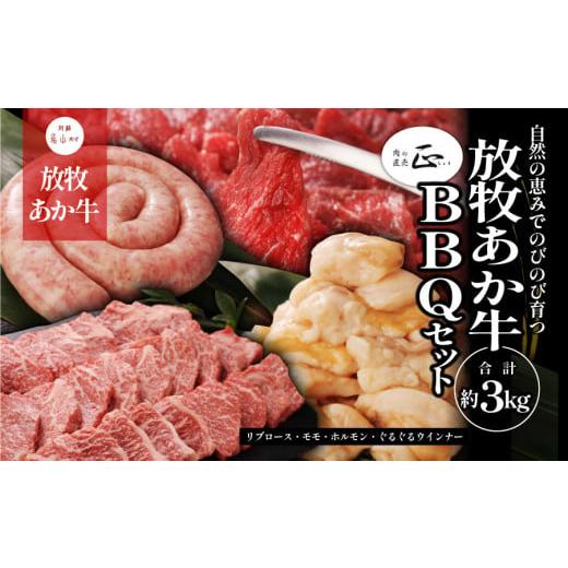 ふるさと納税 牛肉 焼肉・バーベキュー 熊本県 産山村 阿蘇うぶやま村の放牧あか牛BBQセット《60日以内に出荷予定(土日祝除く ...